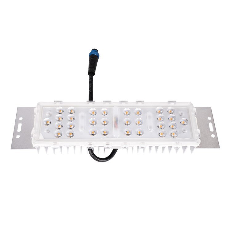 M31-D22 Double Color LED Module: Customizable, High-Brightness Solution ...